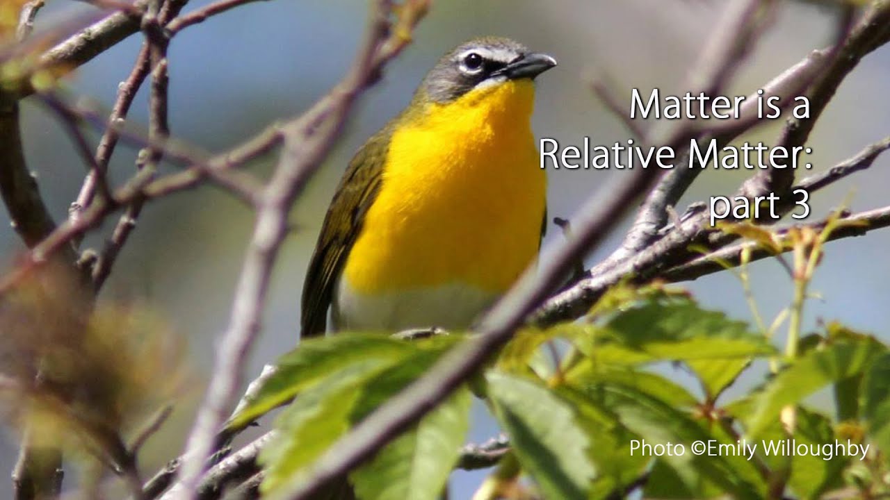 Matter is a Relative Matter with Maurice Manning: part 3 - YouTube