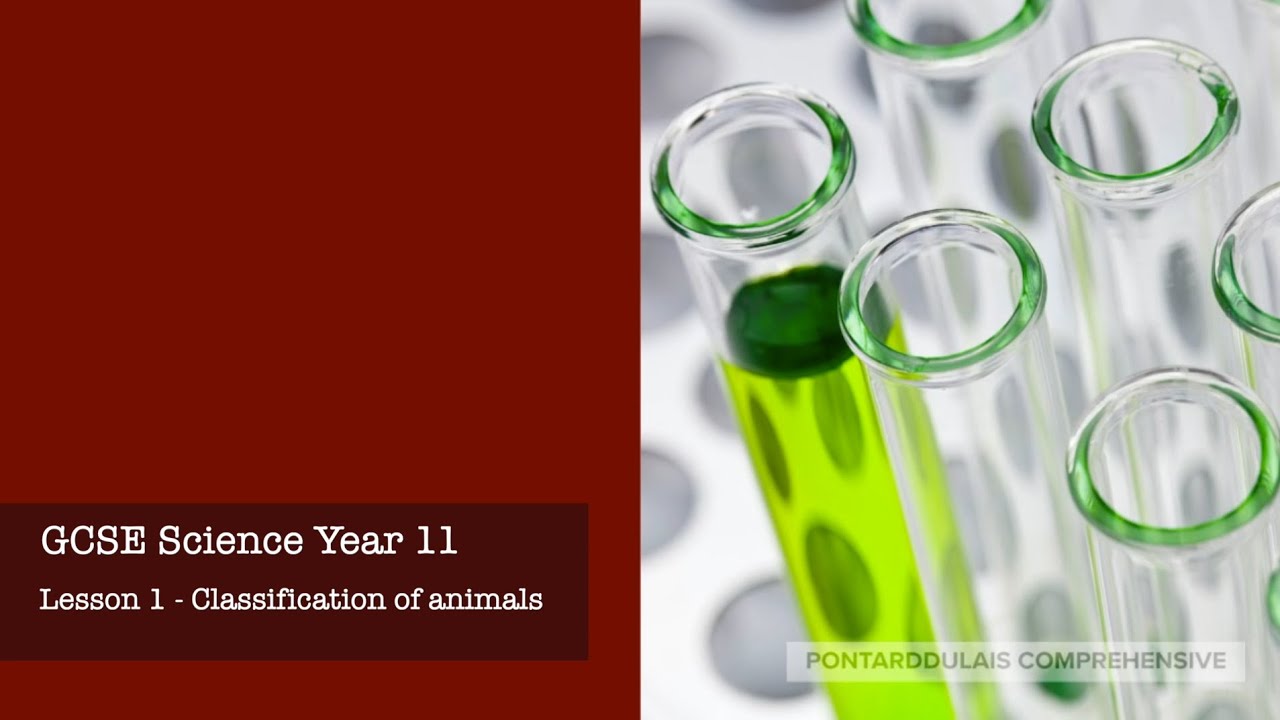 GCSE Science Year 11 - Lesson 1 - Classification of animals - YouTube
