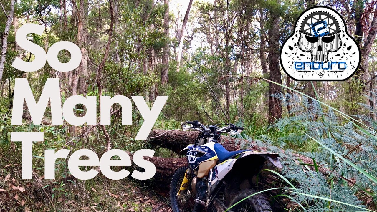 So Many Trees-GoPro edit - YouTube