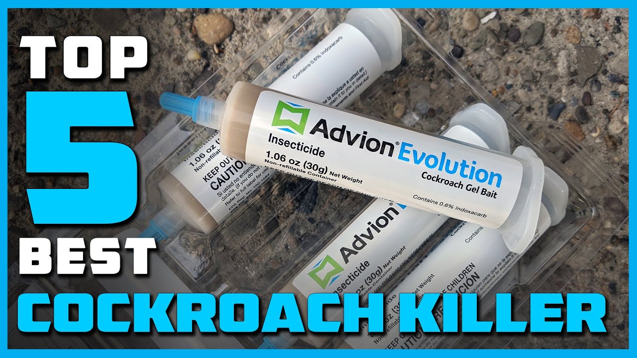 Top 5 Best Cockroach Killers Review | Buying Guide in 2023 - YouTube