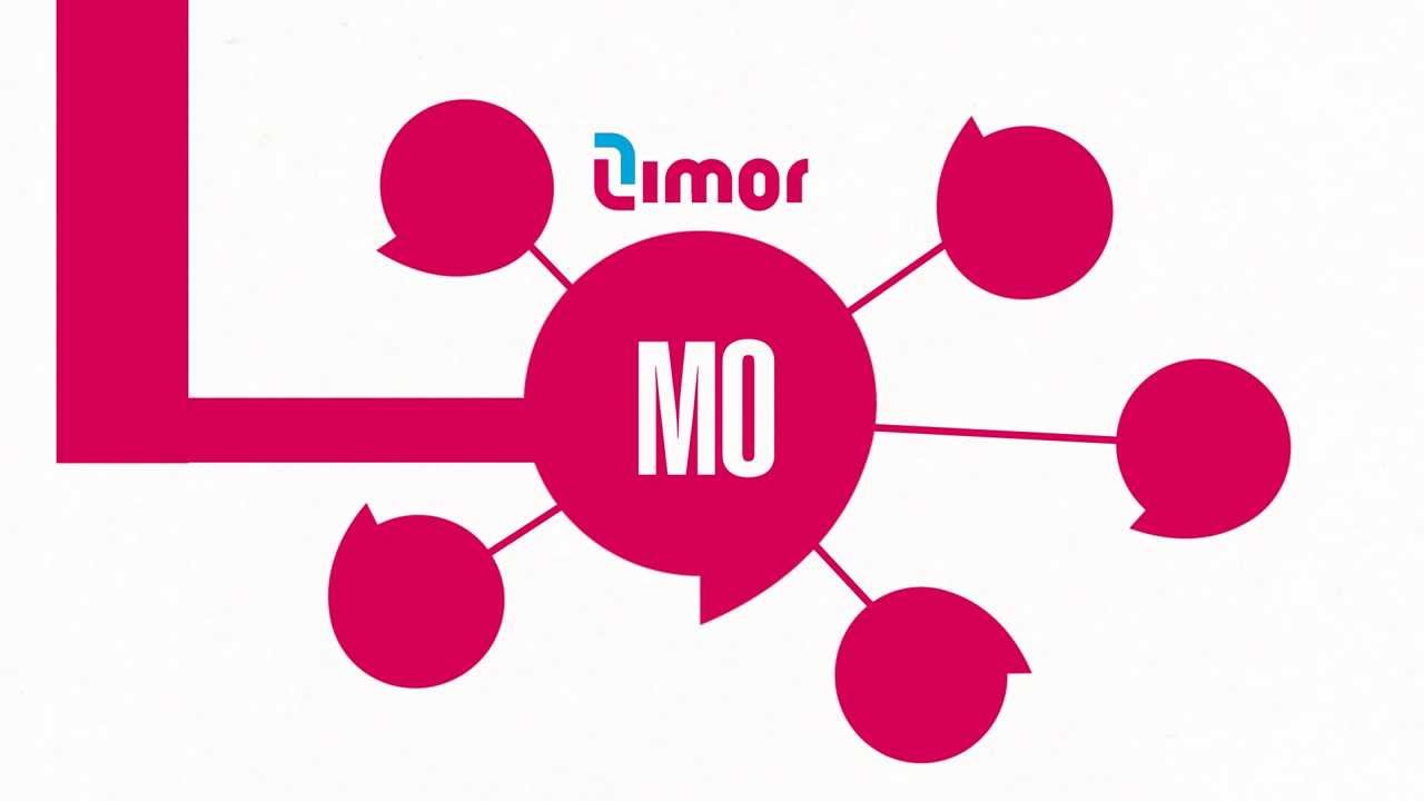 LIMOR ondersteuning en rehabilitatie - YouTube
