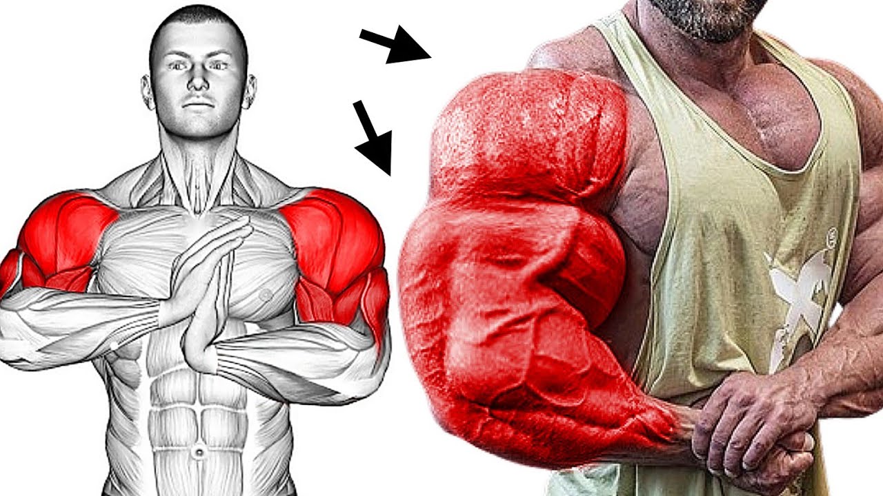 Perfect Workout for Huge Shoulder and Arms Mass - YouTube
