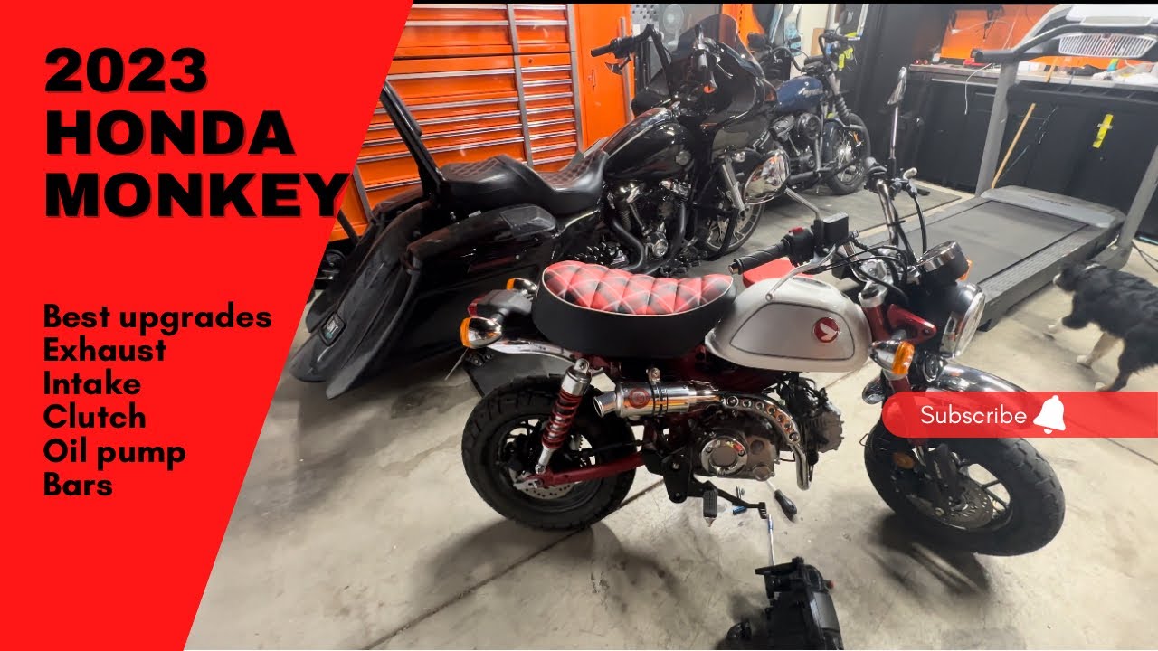Upgraded 2023 Honda Monkey Bike - Exhaust, Intake & Fender Delete - YouTube