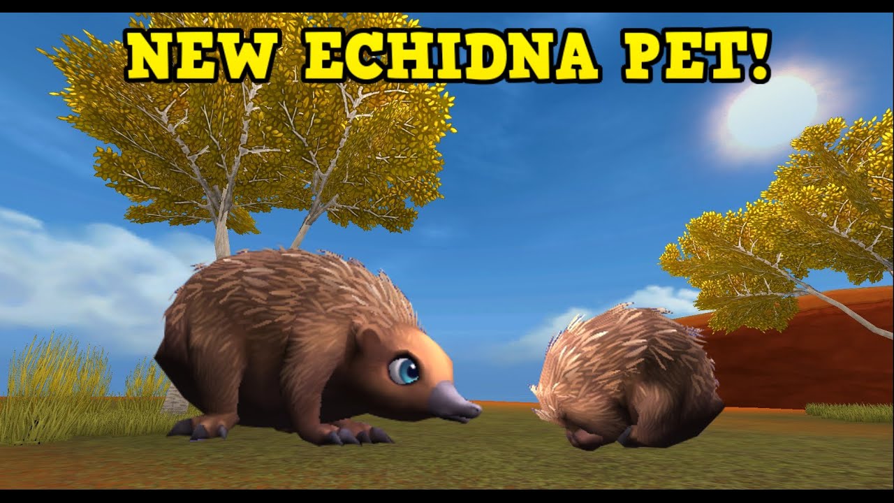 Wizard101 : NEW ECHIDNA PET! - YouTube