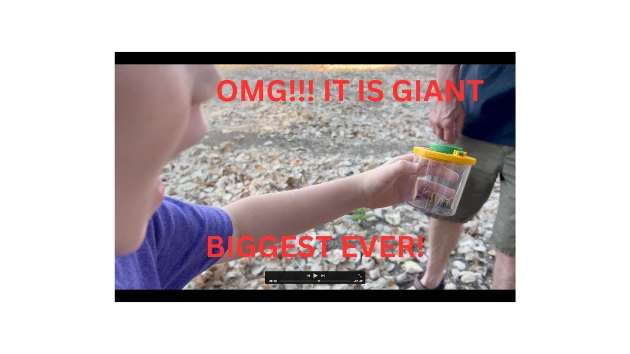OLIVER DID THAT BUG BITE YOU? Biggest One We Ever Saw! - YouTube
