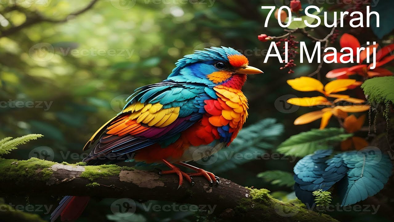 70.Surah Al-Ma'arij Full: HD Arabic Text [Surah Maarij| Ayat 1 to 22 By ...