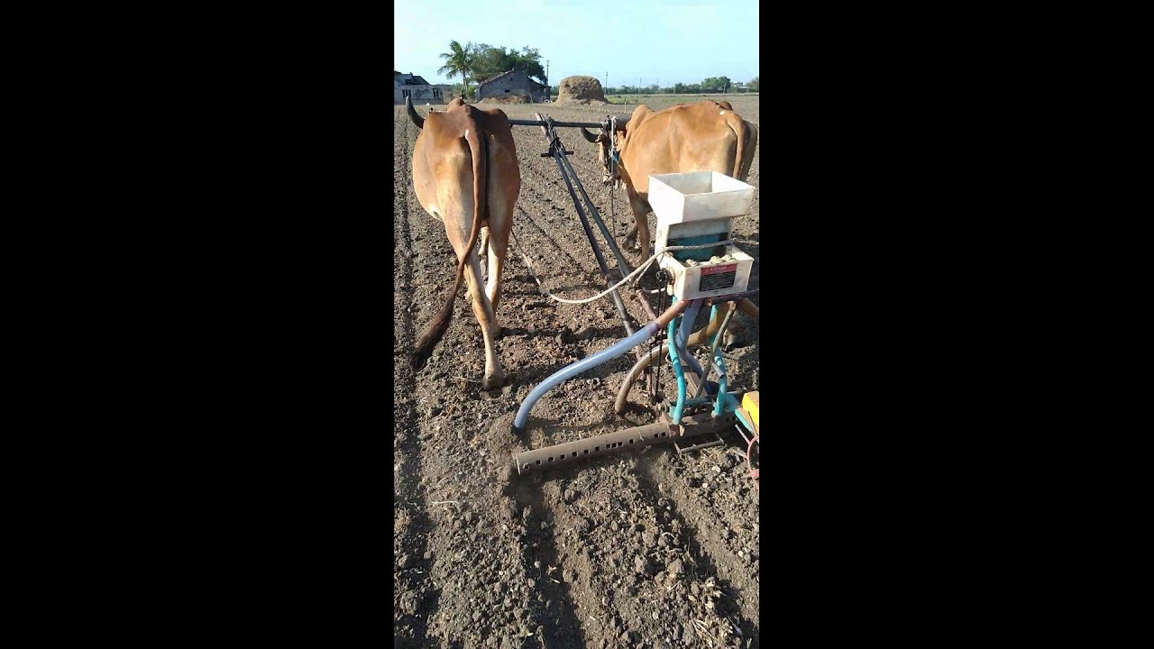 Bel gadi - YouTube
