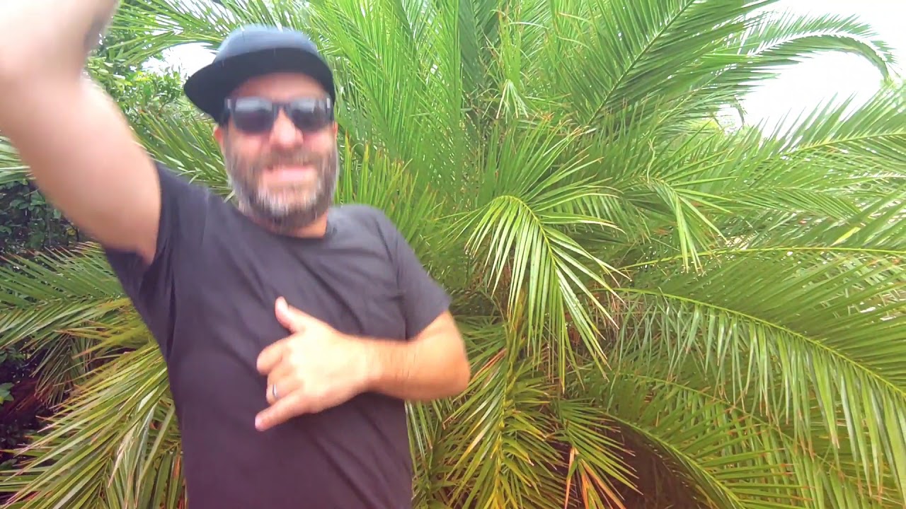 PART ONE TRIBE - "Take it Easy" - YouTube Music