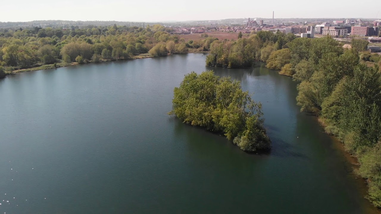 Northampton Delapre Lake - Carp on the move drone footage 2020 - YouTube