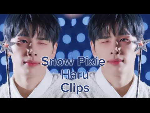Haru 🐻‍ ️ ️ Snow Pixie Clips - YouTube