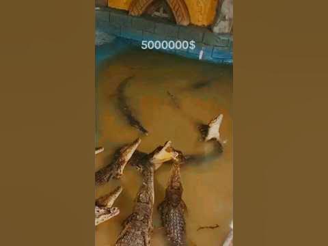 За каждым успешным мужчиной стоит женщина - YouTube