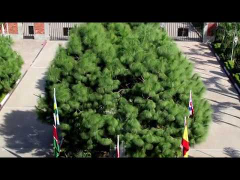 Journey to Pathways World School,Aravali - YouTube