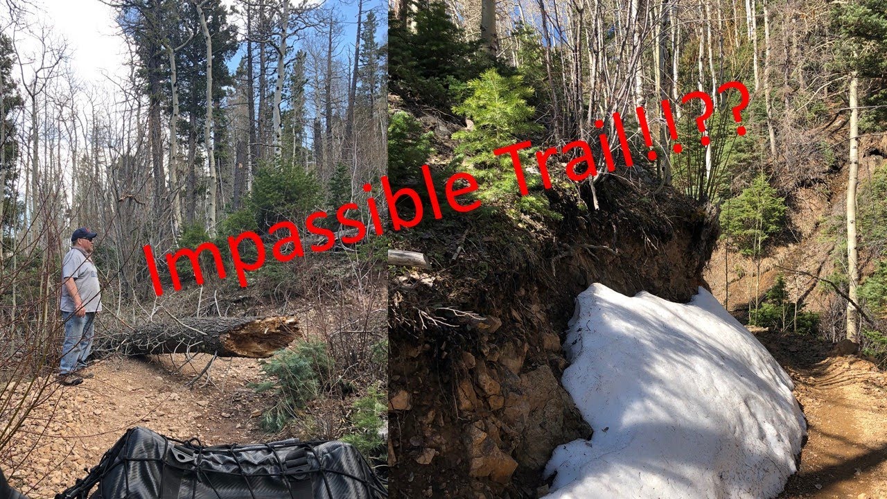 Rainbow ATV Trail #1336 Westcliffe, CO - YouTube