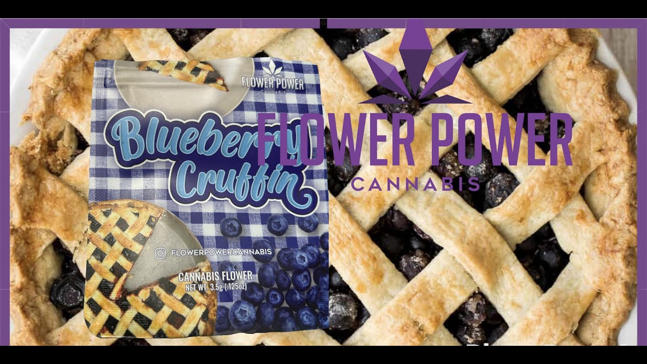 BLUEBERRY CRUFFIN from FLOWER POWER CANNABIS FULL REVIEW - YouTube