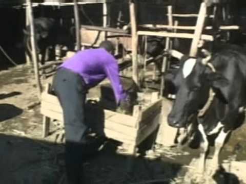 Multiple Use water Systems - Messages prepared for the 5th World Water ...