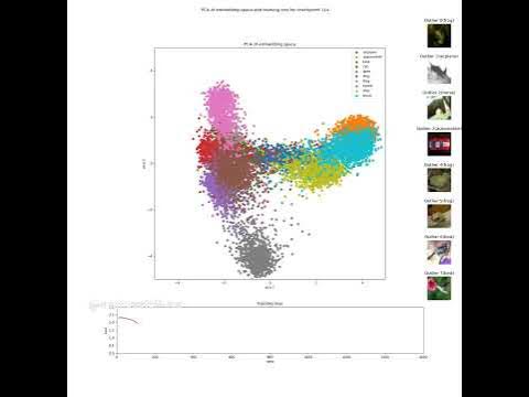 Visualization of embeddings with PCA during machine learning (fine-tuning) of a Vision ...