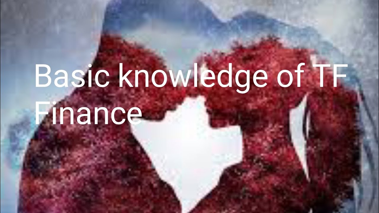 basic knowledge+finance 💰 - YouTube