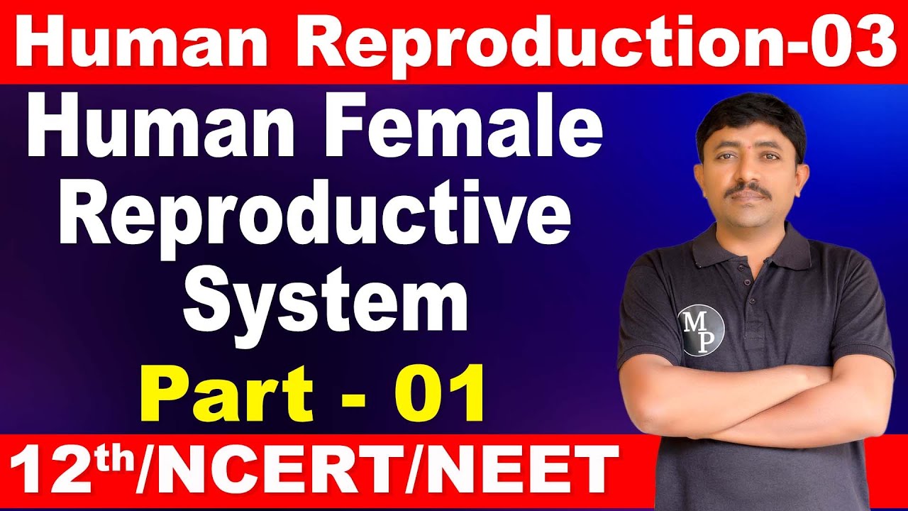 HUMAN REPRODUCTION-03 II HUMAN FEMALE REPRODUCTION SYSTEM-PART -01 II ...