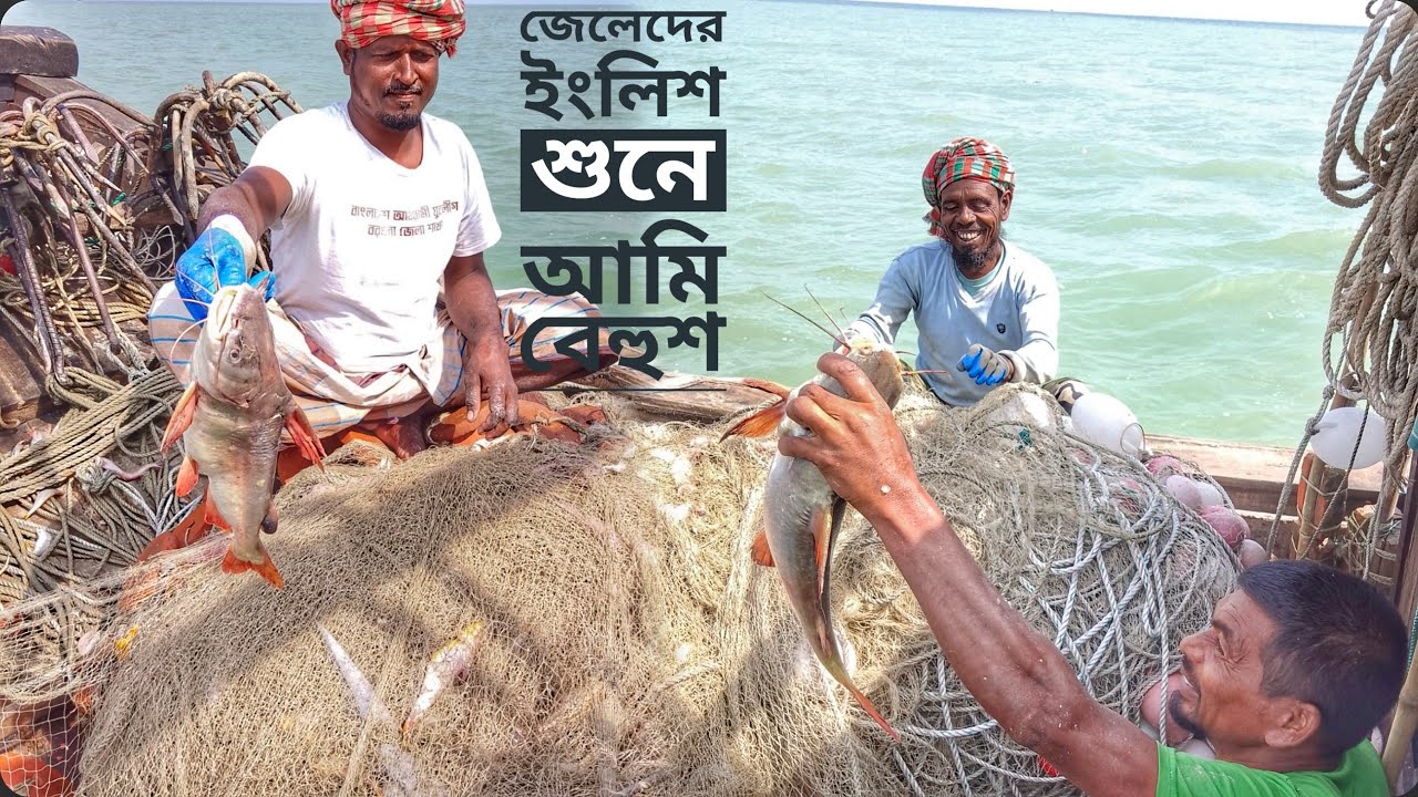 নৌকা ভর্তি মাছ | সাগরে মাছ শিকার | Gagra tangra vola fish - YouTube