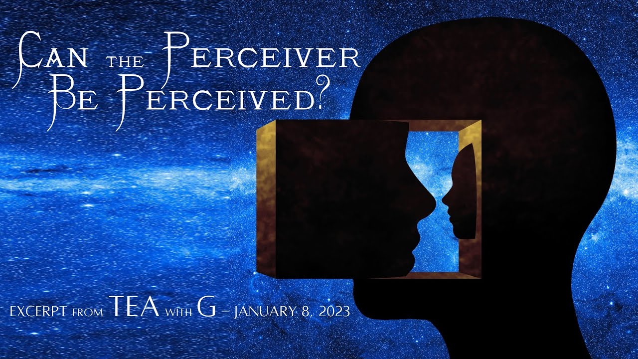 Can the Perceiver Be Perceived? - Tea with G - YouTube