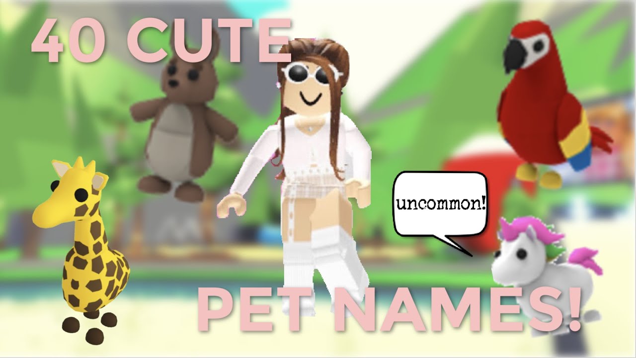 40 CUTE PET NAMES uncommon Adopt Me Roblox Midnight Moon YouTube 40 CUTE PET NAMES uncommon Adopt Me Roblox Midnight Moon YouTube
