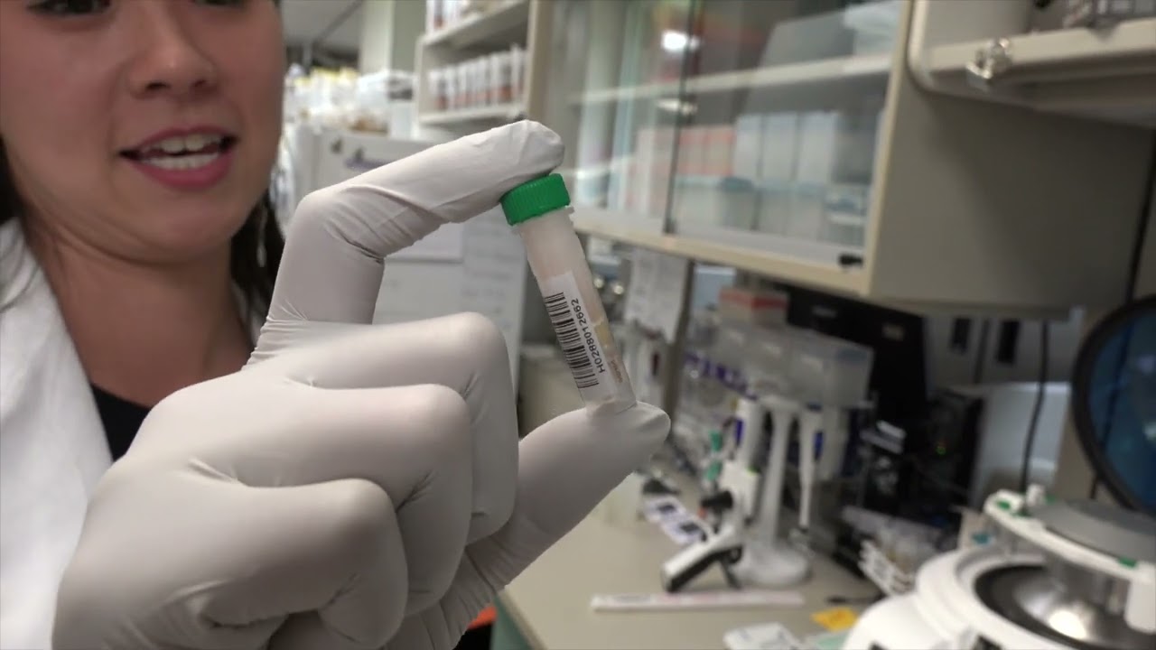 CWD Testing at C.E. KORD Lab - YouTube