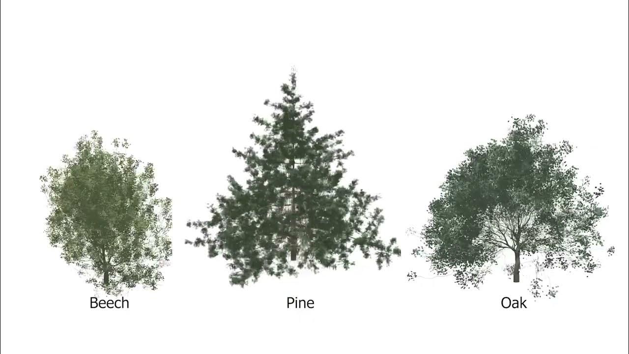 Tree Growth Simulations - YouTube