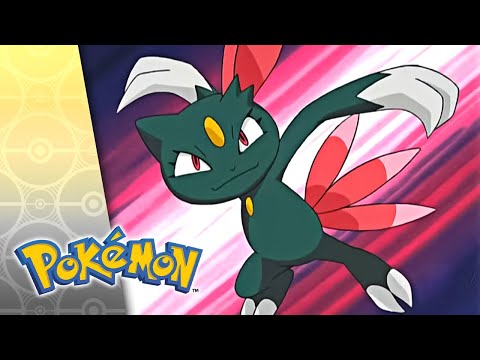Pop Goes the Sneasel | POKÉMON FULL EPISODE 55 | Season 5