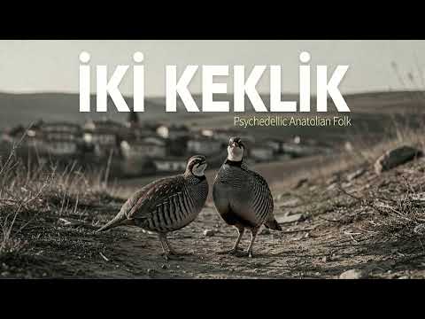 İki Keklik | Psychedelic Anatolian Folk | Anadols