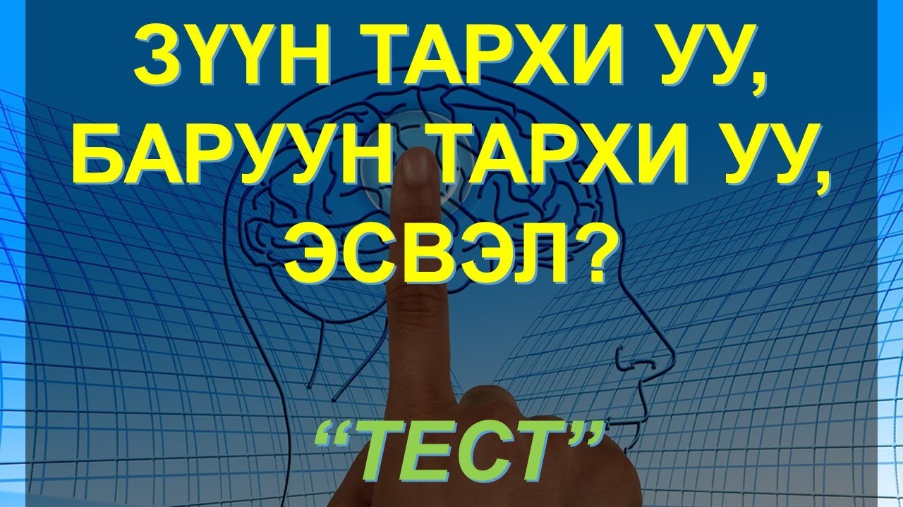 【test】ТАНЫ ТАРХИ ЗҮҮН ҮҮ БАРУУН УУ ЭСВЭЛ Mbti ТАРХИНЫ ХЭВ ШИНЖИЙН
