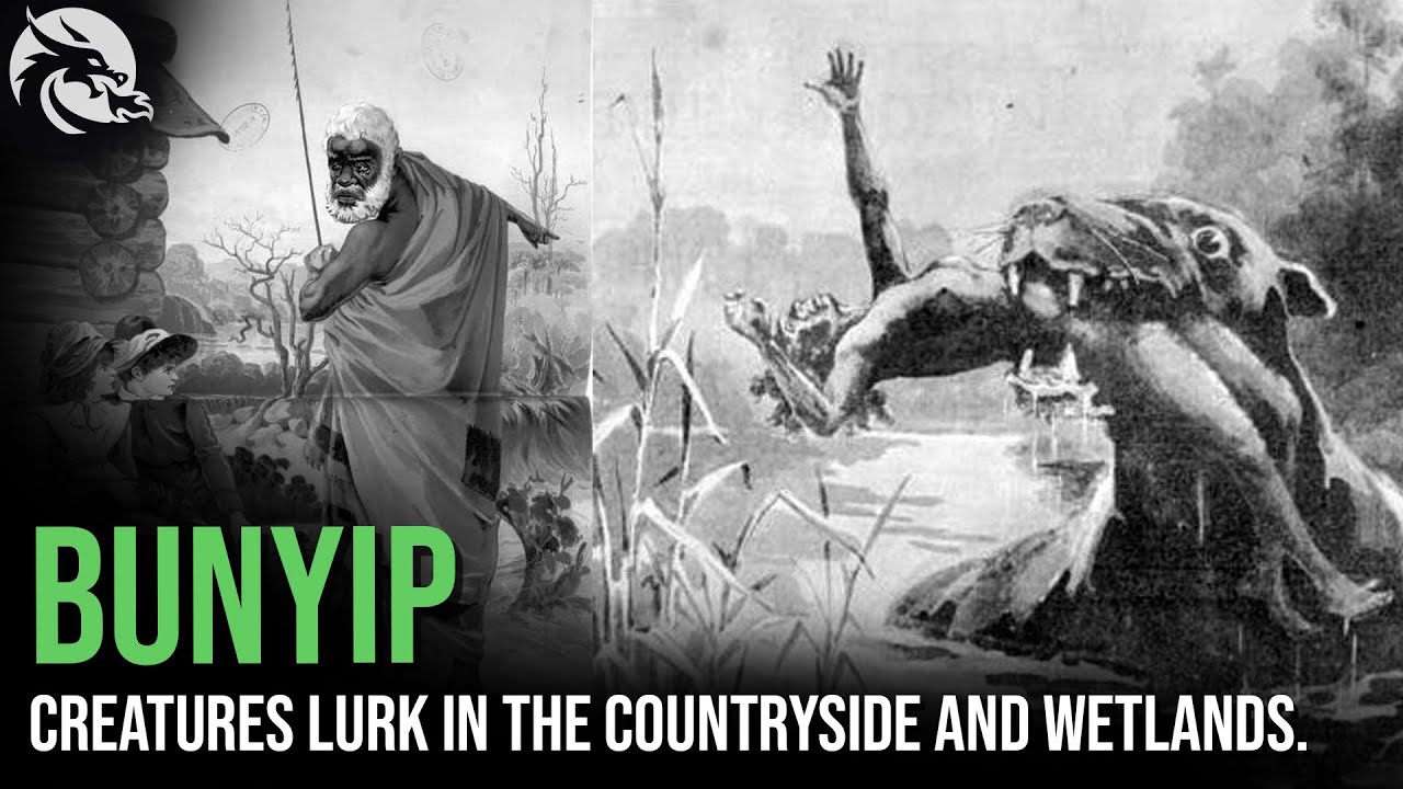 Unveiling the Myth of the Bunyip: Exploring Australian Folklore and Cryptids - YouTube