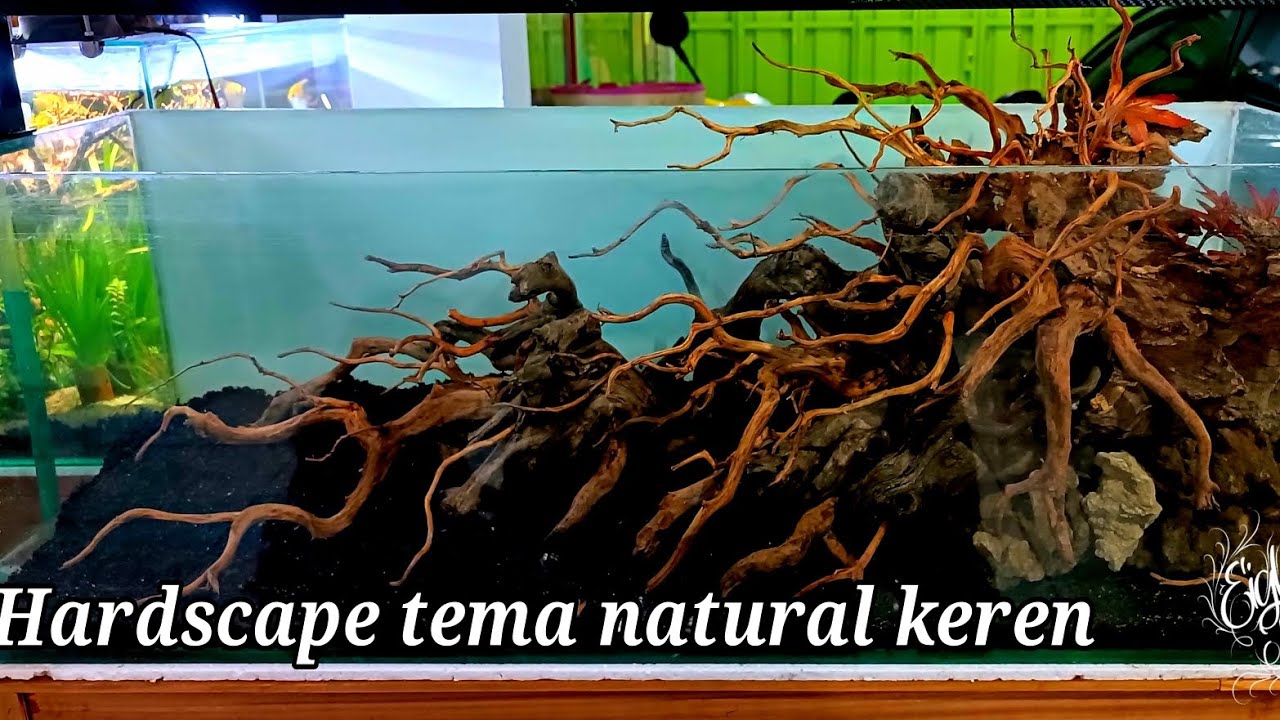 membuat hardscape aquascape tema natural dengan kayu rasamala dan kayu rentek . - YouTube