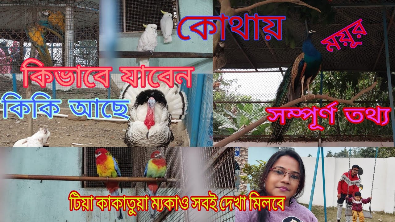 Baruipur mini chiriyakhana..আরণ্যক বনভোজন উদ্যান..Aranyak picnic spot ...