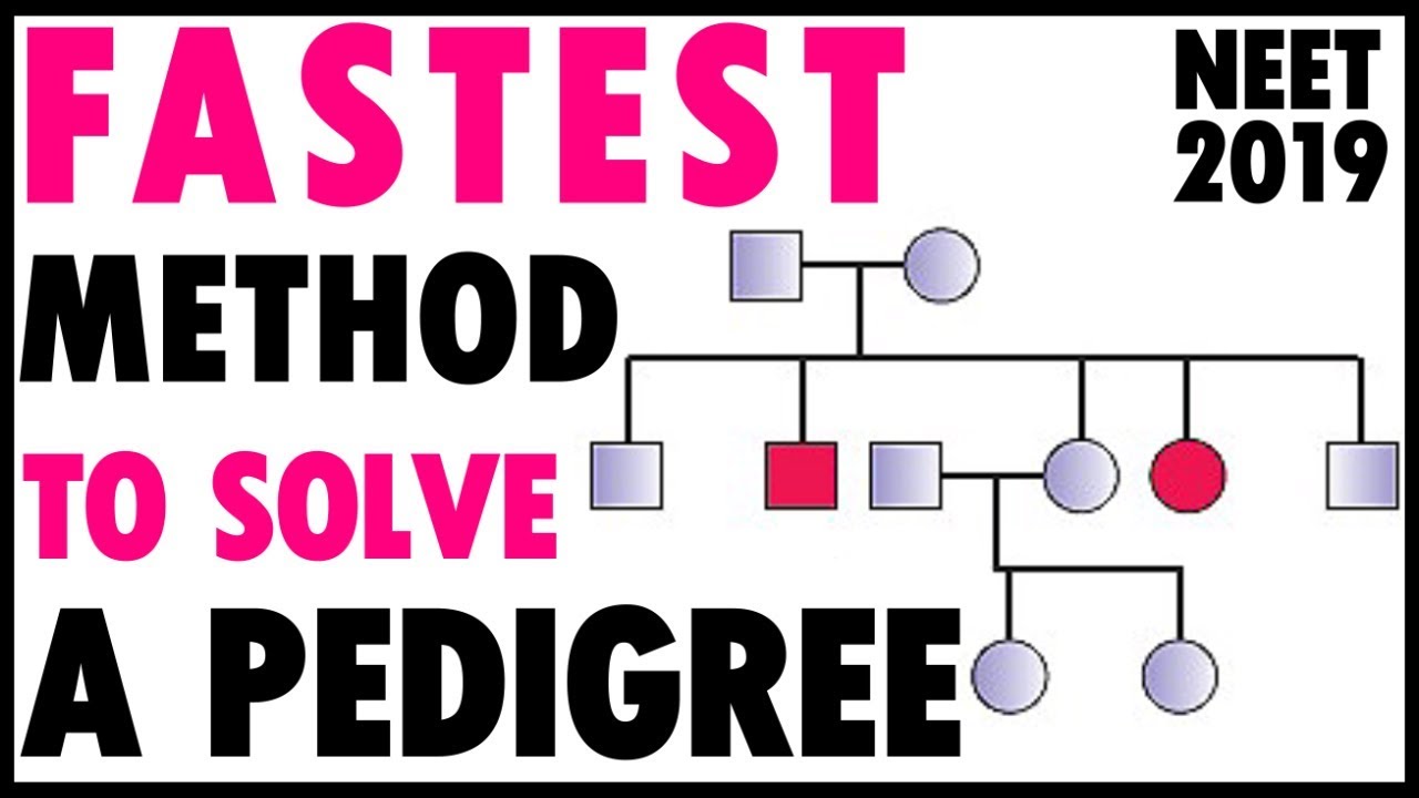 SOLVE Any PEDIGREE In Just 2 STEPS|NEET(NTA) Short Trick For GENETICS ...