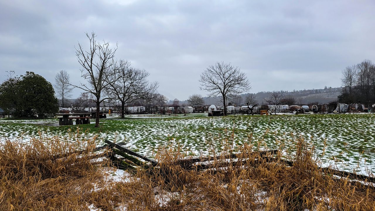 Jan 22, 2024. The Colony Farm Regional Park Hiking Photos - YouTube