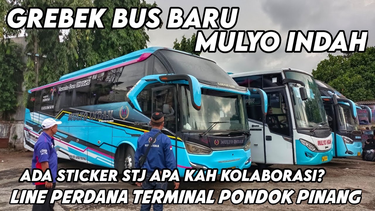 line perdana bus mulyo indah|| Mulyo indah bangkit dengan armada baru ...