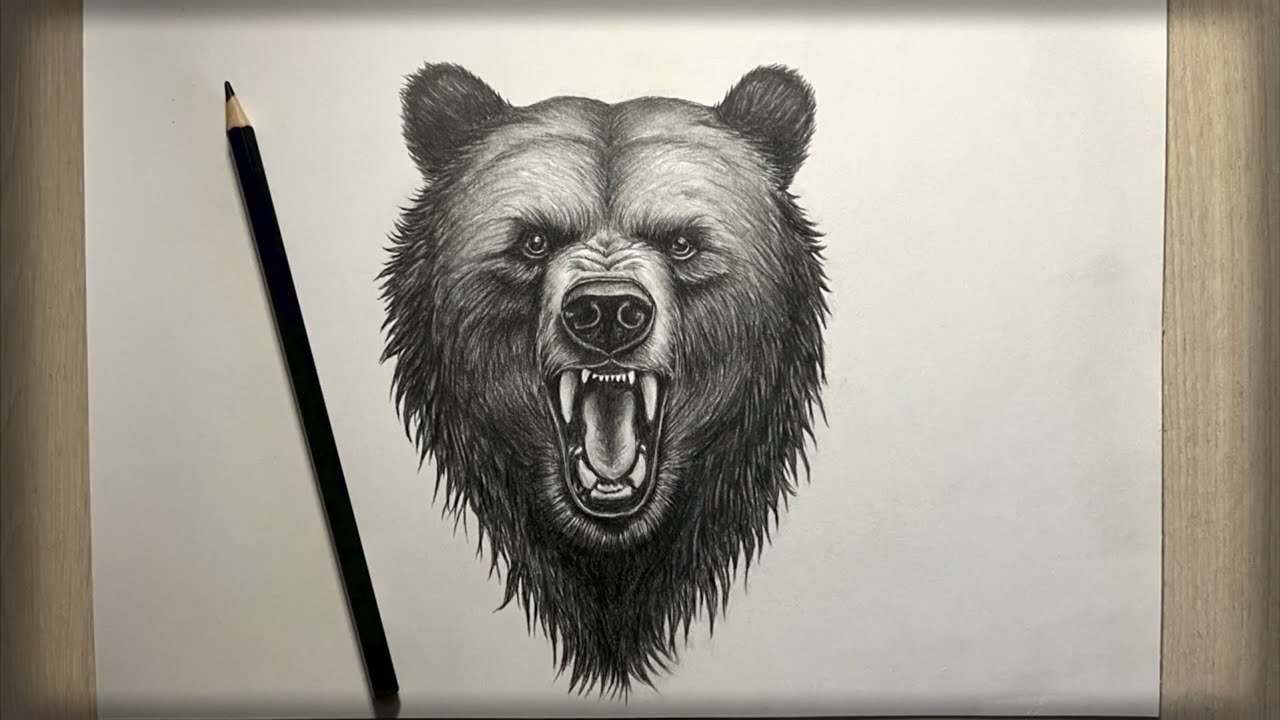 Dibujos De Osos Grizzly Paso A Paso Cómo Dibujar Un Oso En Un Paisaje