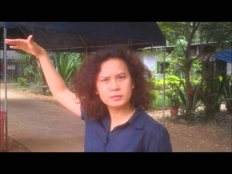 Ban Sam Kha: model of sustainable development and community empowerment ...