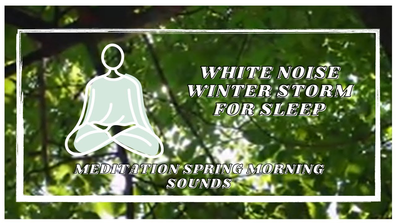 spring morning sounds | meditation spring morning sounds | birdsong ...