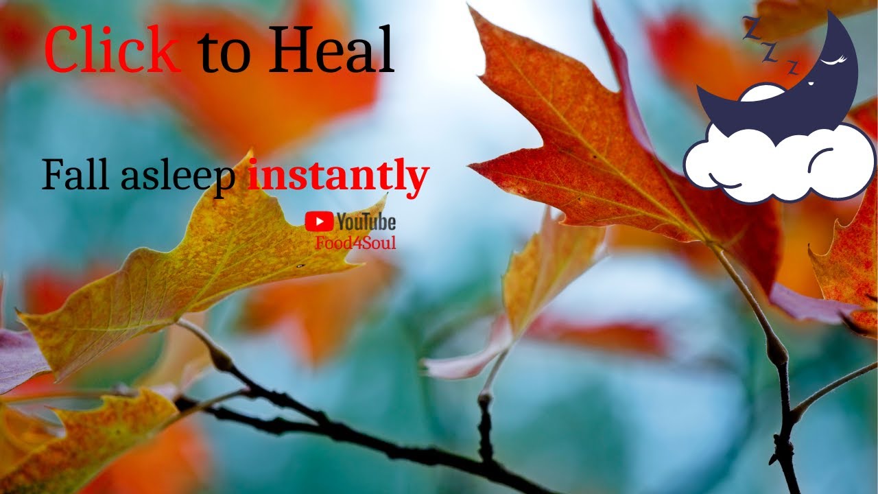 4K Enchanting Autumn Nature Scenes + Relaxing Music for Stress Relief ...