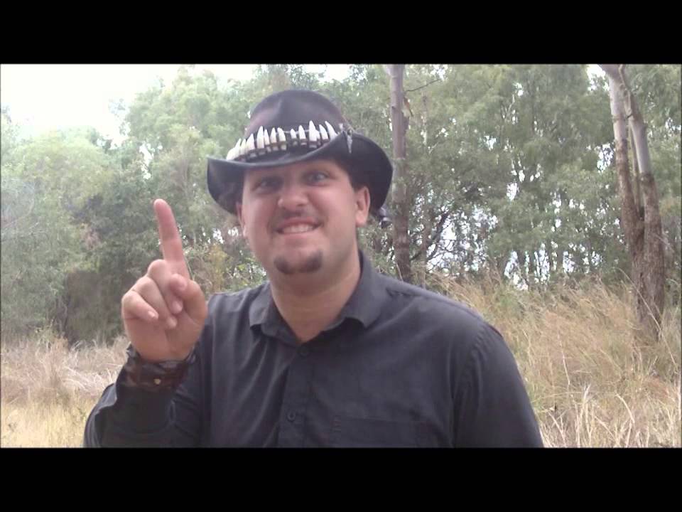 Drop Bear Attack!!! - YouTube