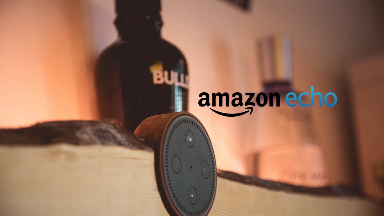 Amazon Echo ALEXA feeding fish - YouTube