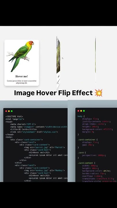 Image Hover Flip Effect Code Codewithharry Codingtutorial Codingstyle Css Html