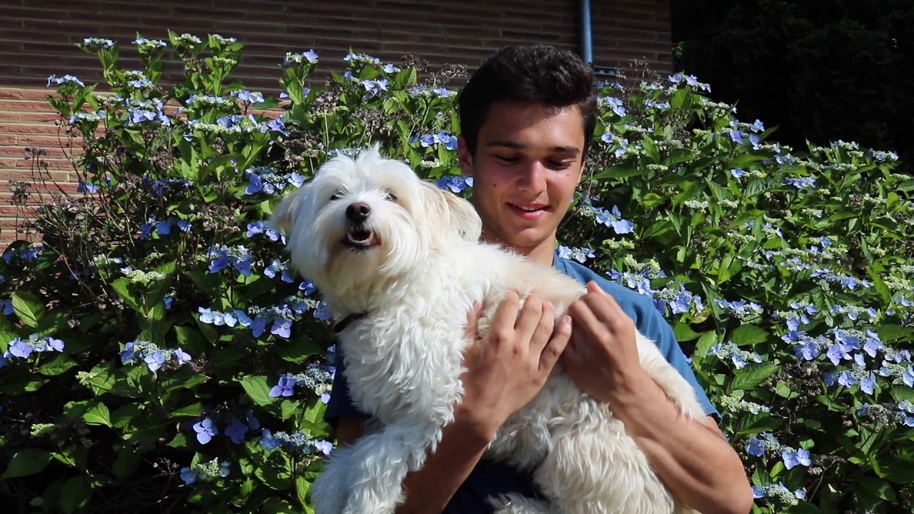 PAWS CAST Episode 6 - YouTube