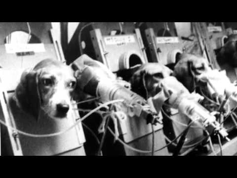 Animal Testing PSA - YouTube