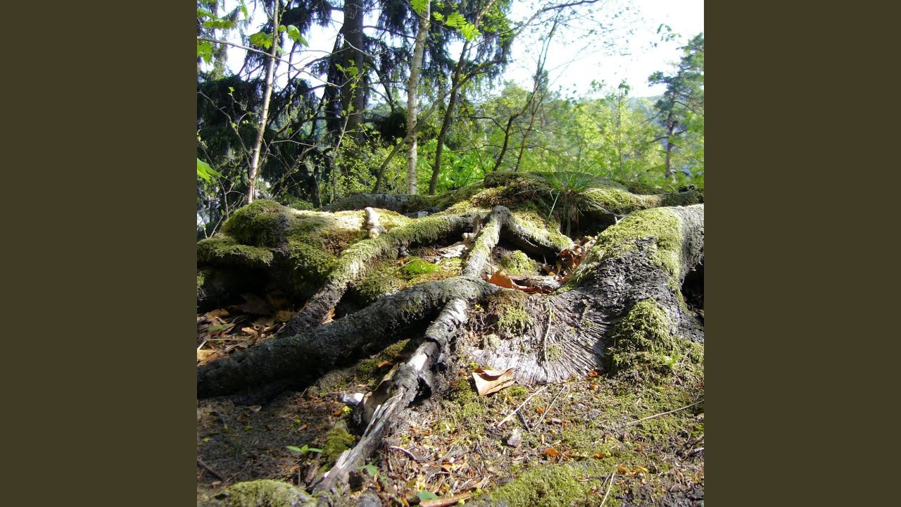 The Burdened - YouTube