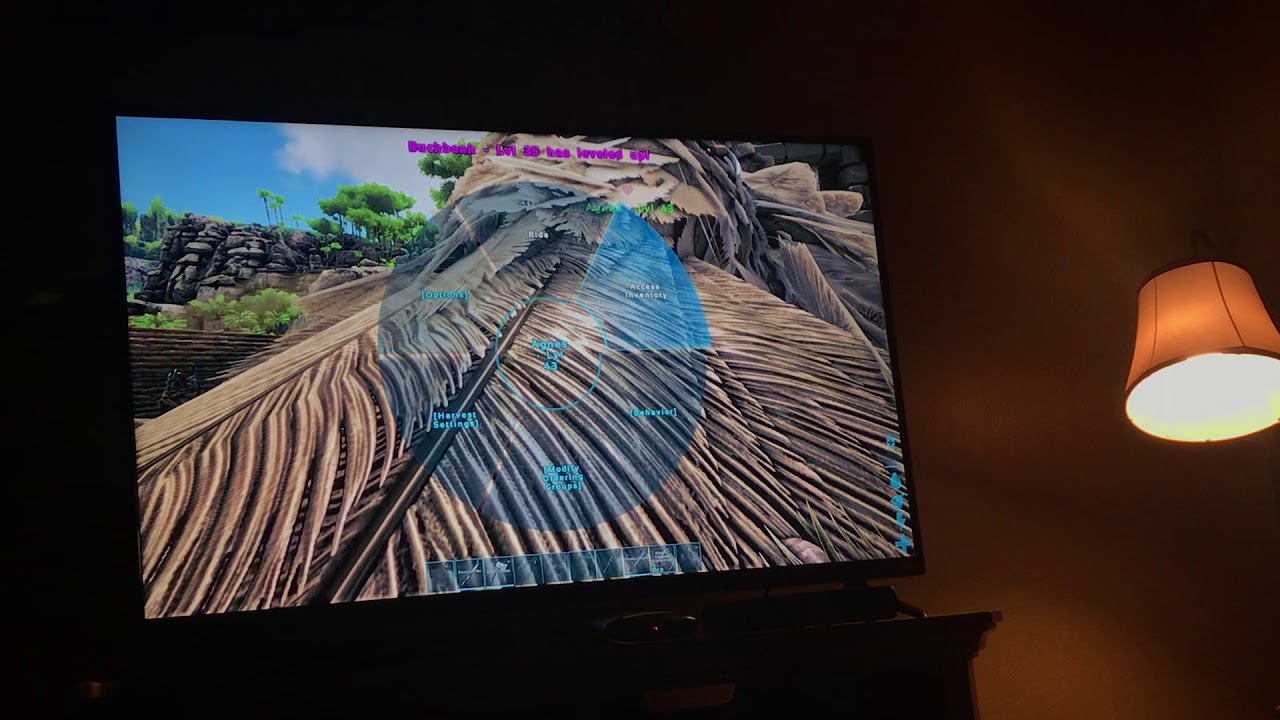 Ark Survival Evolved (Bird taming) - YouTube