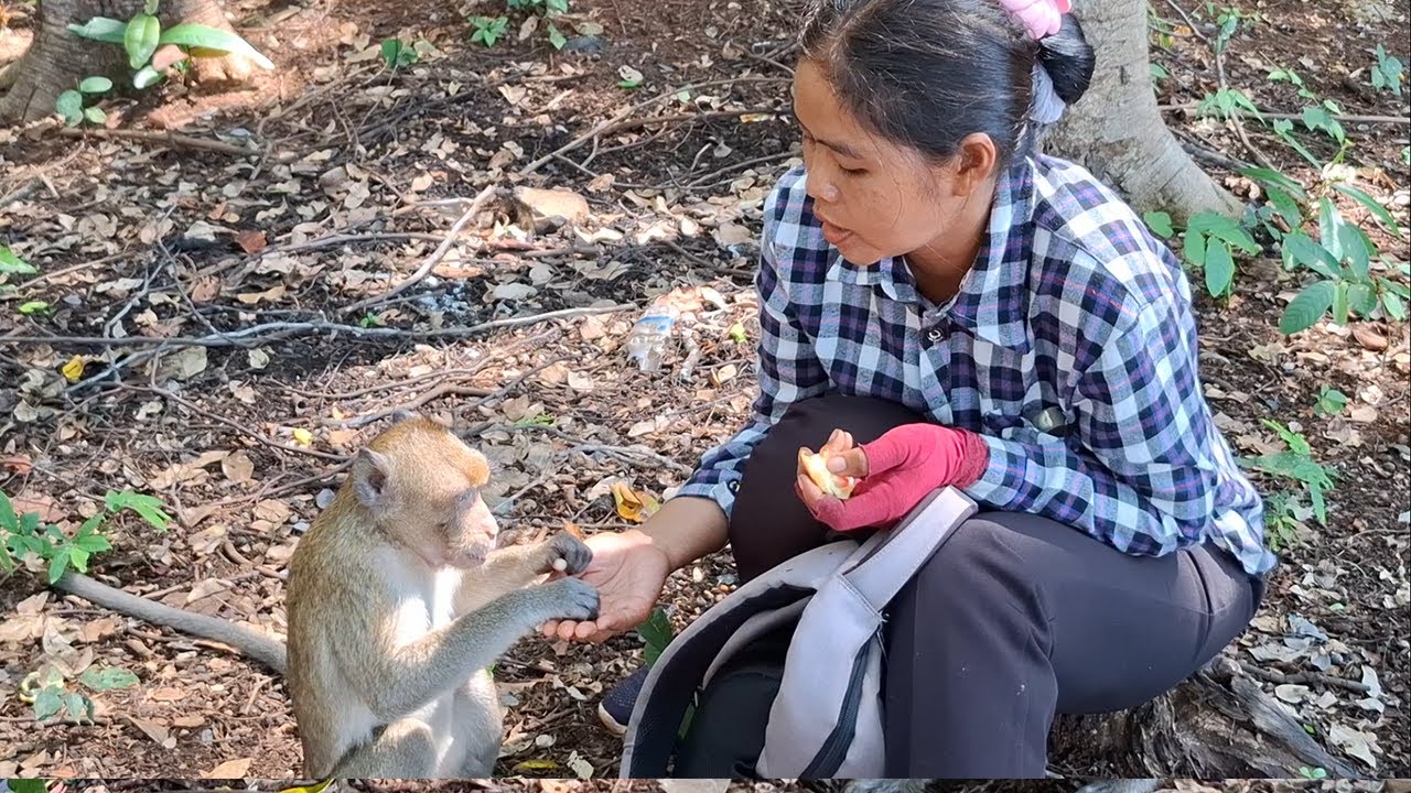 Tesla-monkey is cute and polite to day - YouTube