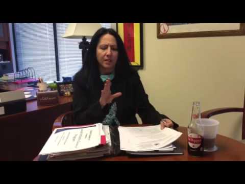 Nancy Jester Reports: DeKalb BOC Committee of the Whole 16 February ...