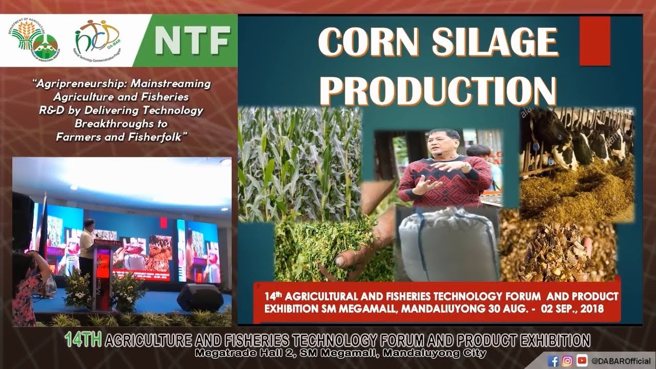 Lear about Corn Silage Production - YouTube